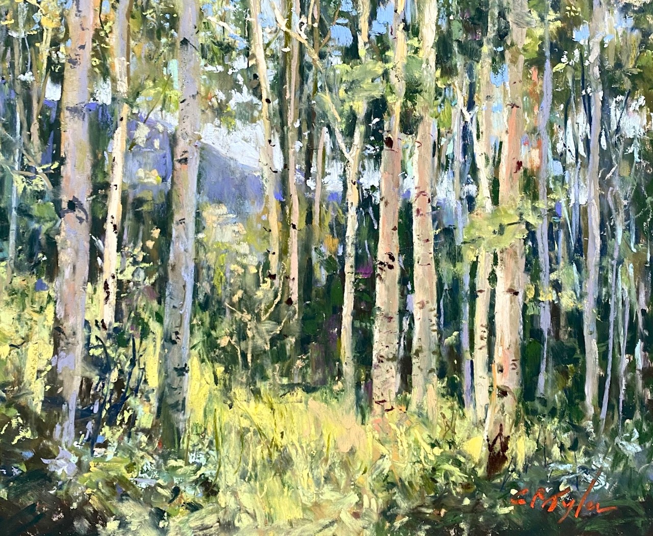 Plein Air Paintings and Pastel Paintings by Clive Tyler at Saks Galleries